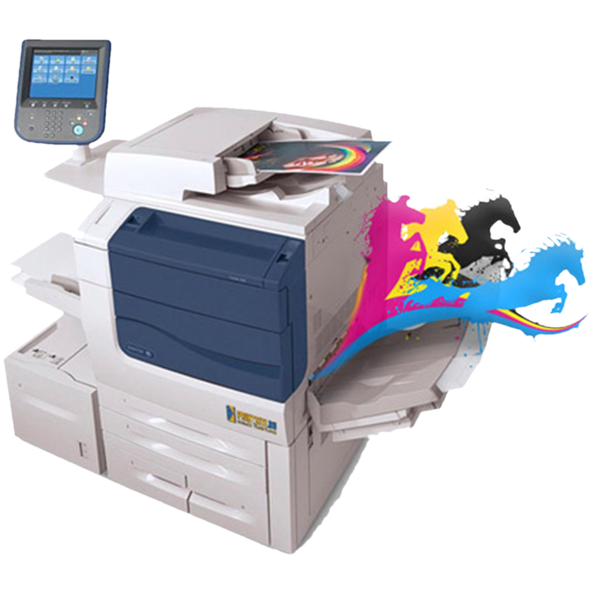Elf-Print – Xerox – Copiere – Printare a4-a0 – Personalizari
